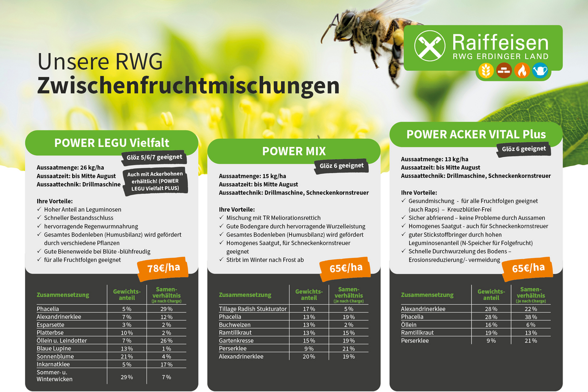 Unsere RWG-Zwischenfruchtmischungen: Raiffeisen Erdinger Land